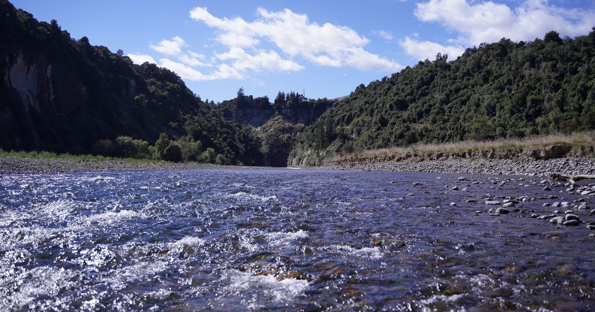 Our Rangitīkei - Visit Rangitīkei