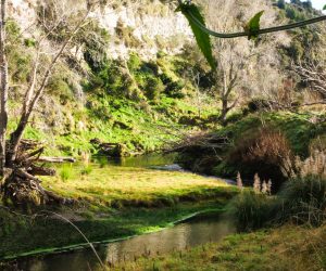 Marton - Visit Rangitīkei